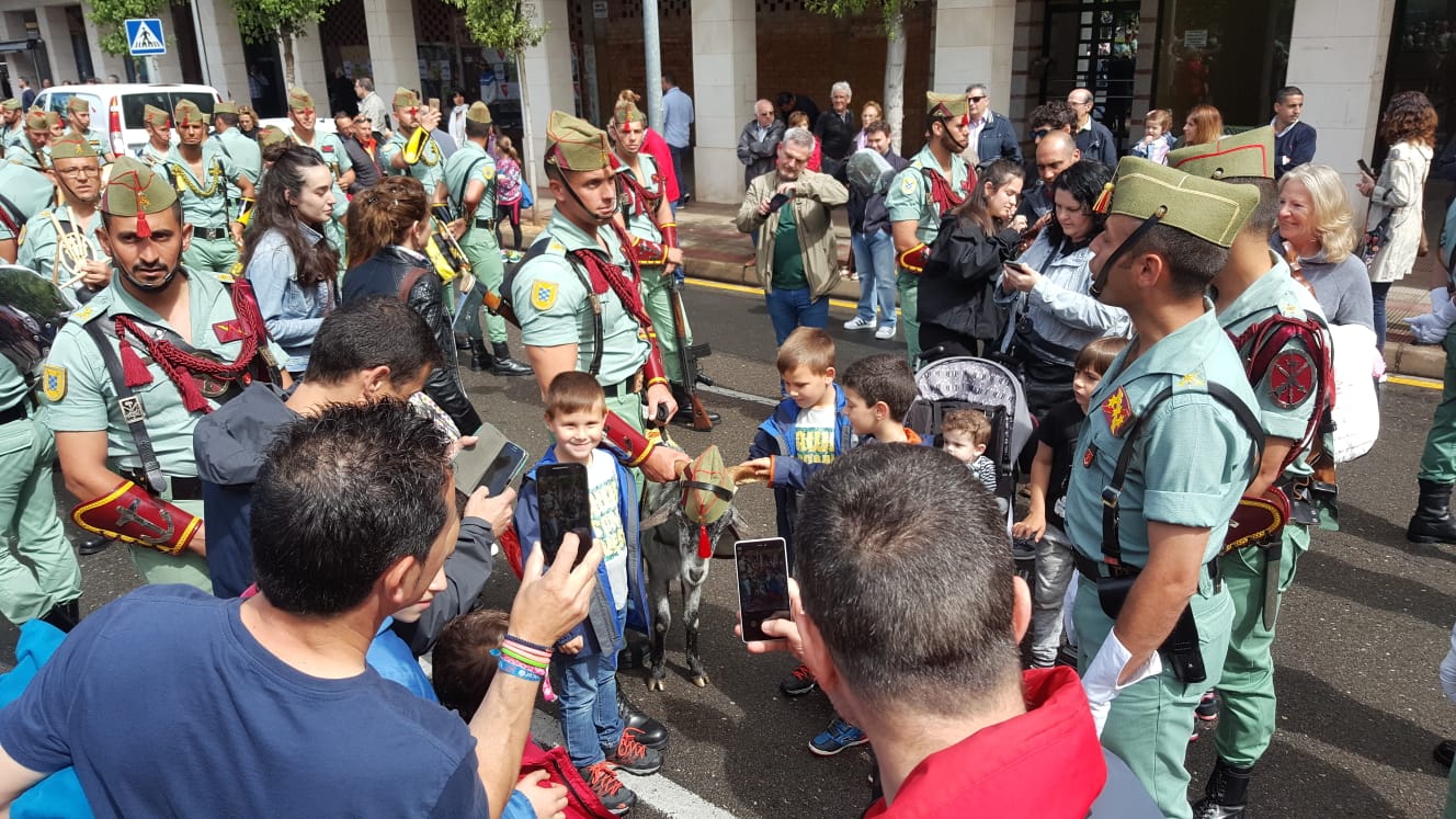 La cabra de la legión, la estrella en la previa del desfile de las ...