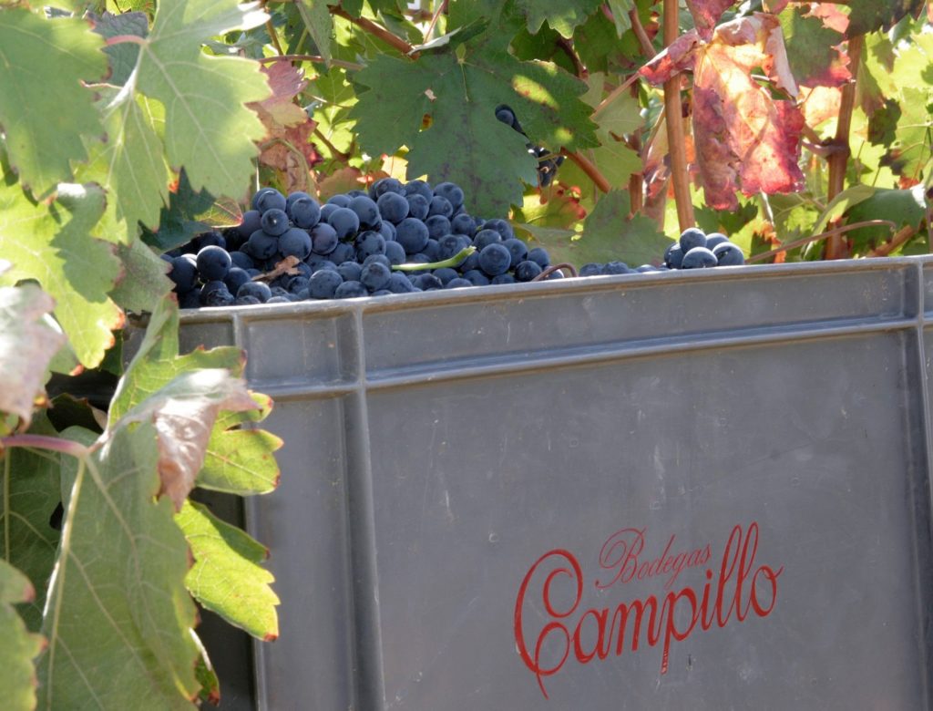 Un Rioja de Bodegas Campillo, el mejor vino del año en España