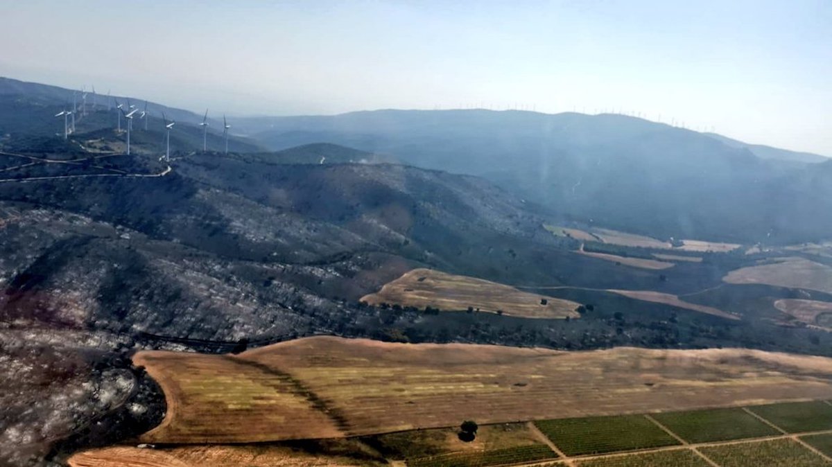 El incendio en el Monte Yerga, a vista de pájaro un día después