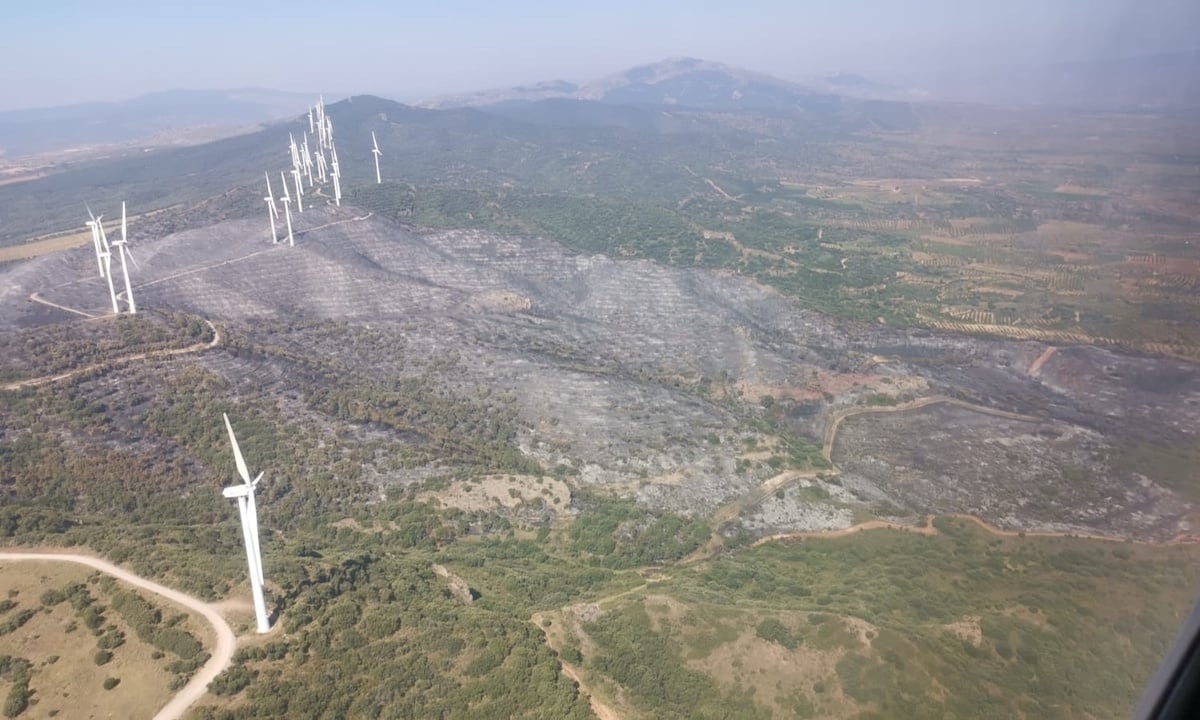 El incendio en el Monte Yerga, a vista de pájaro un día después