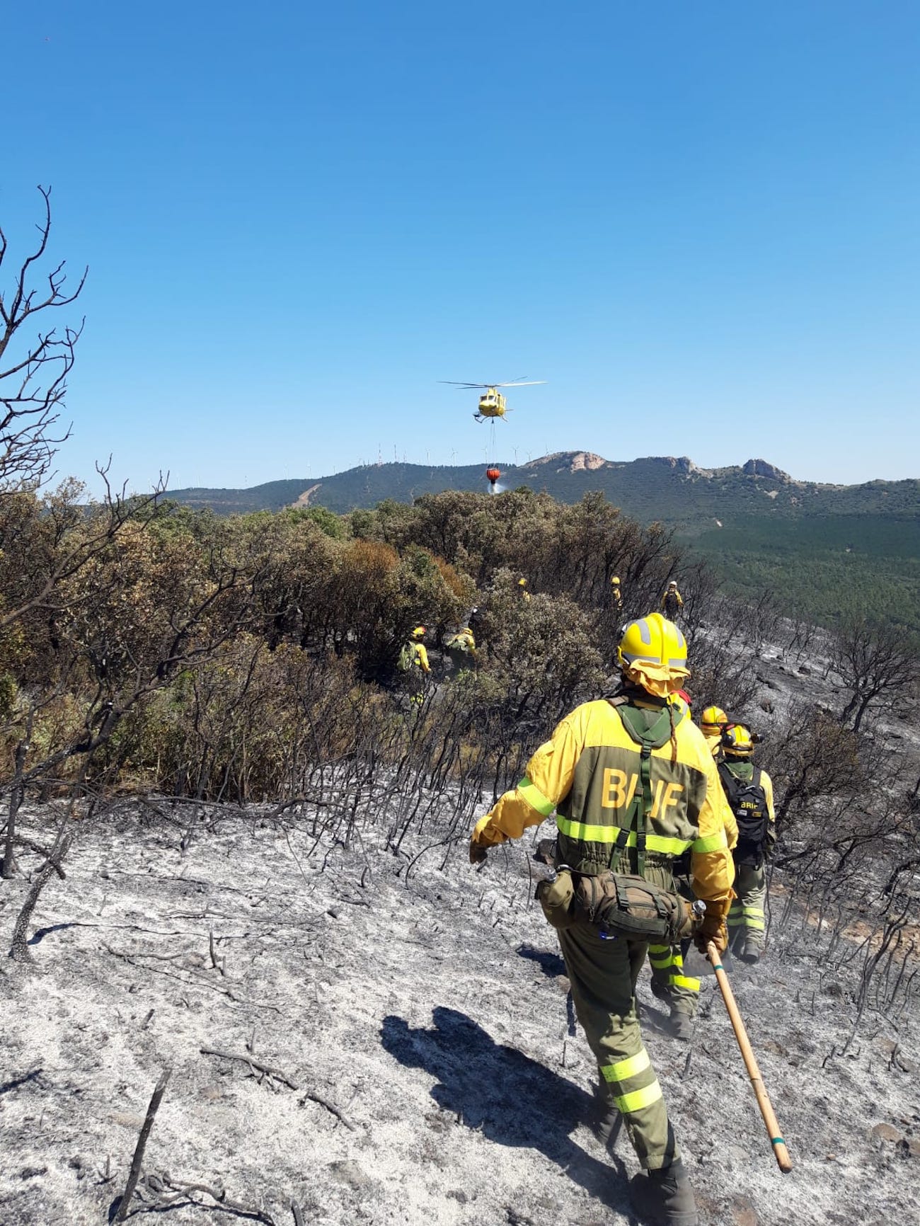 Asadores y desbroces, prohibidos por el riesgo de incendios