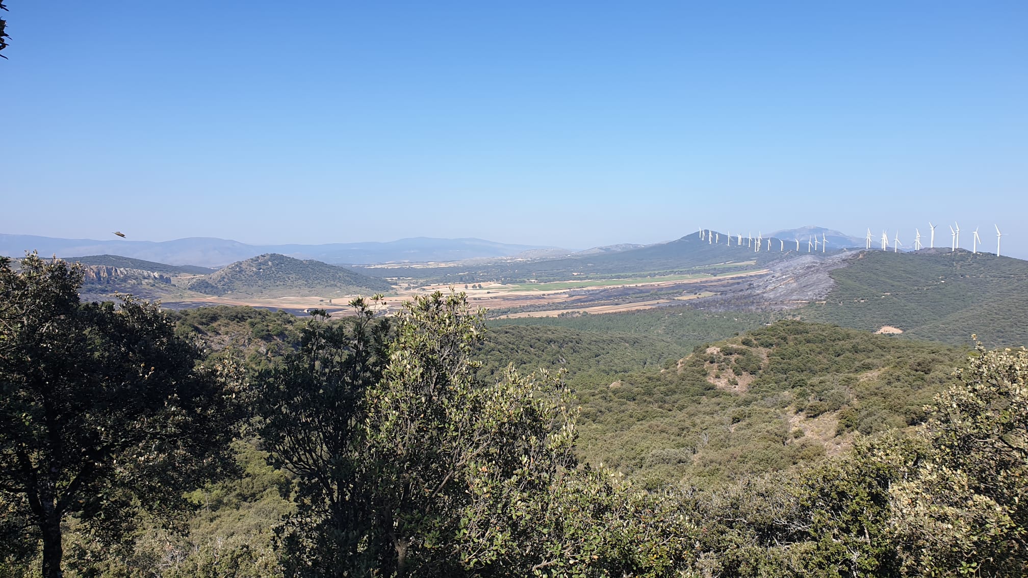 La situación mejora en el incendio de Yerga: menos fuego y menos humo