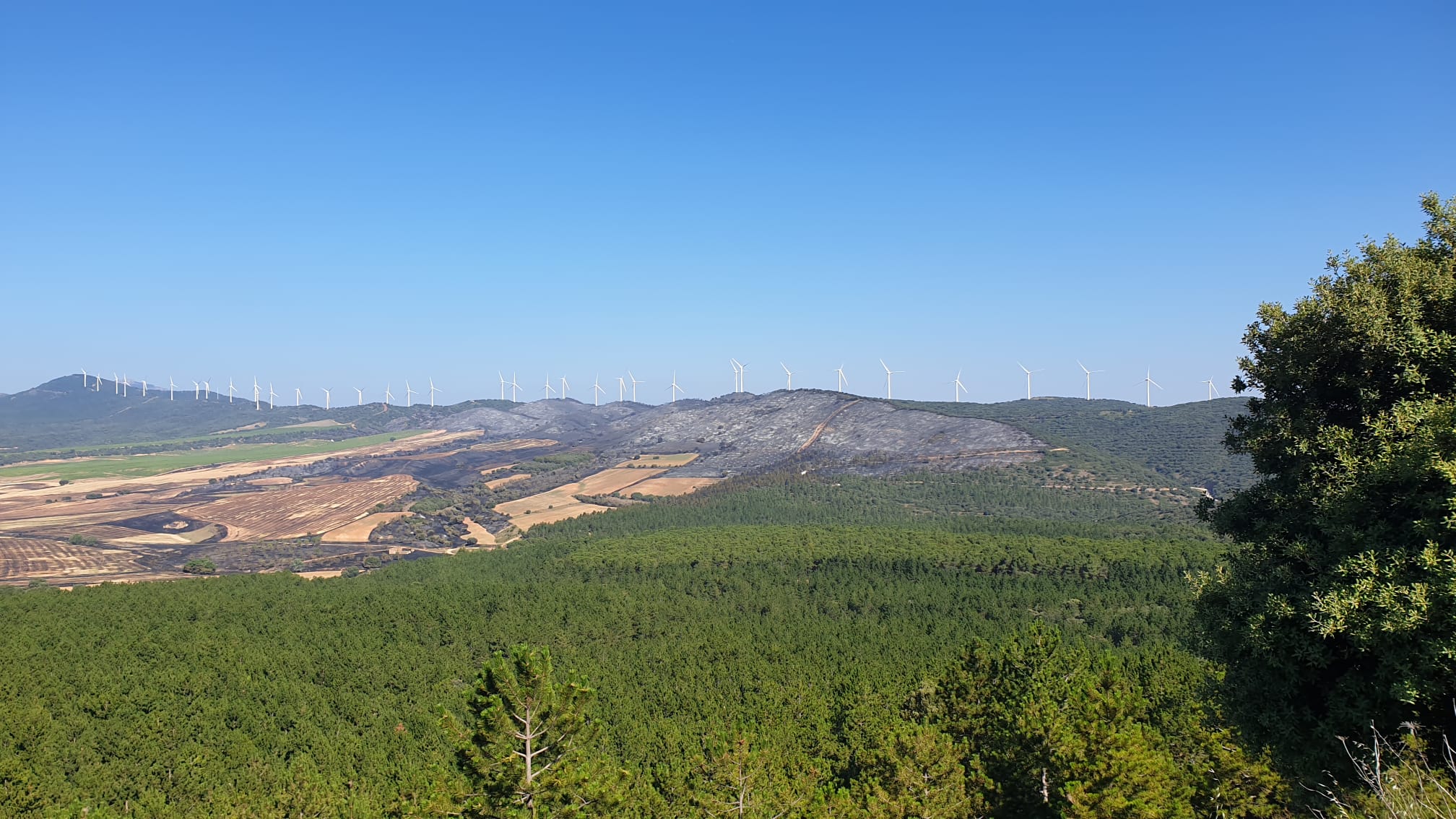 La situación mejora en el incendio de Yerga: menos fuego y menos humo