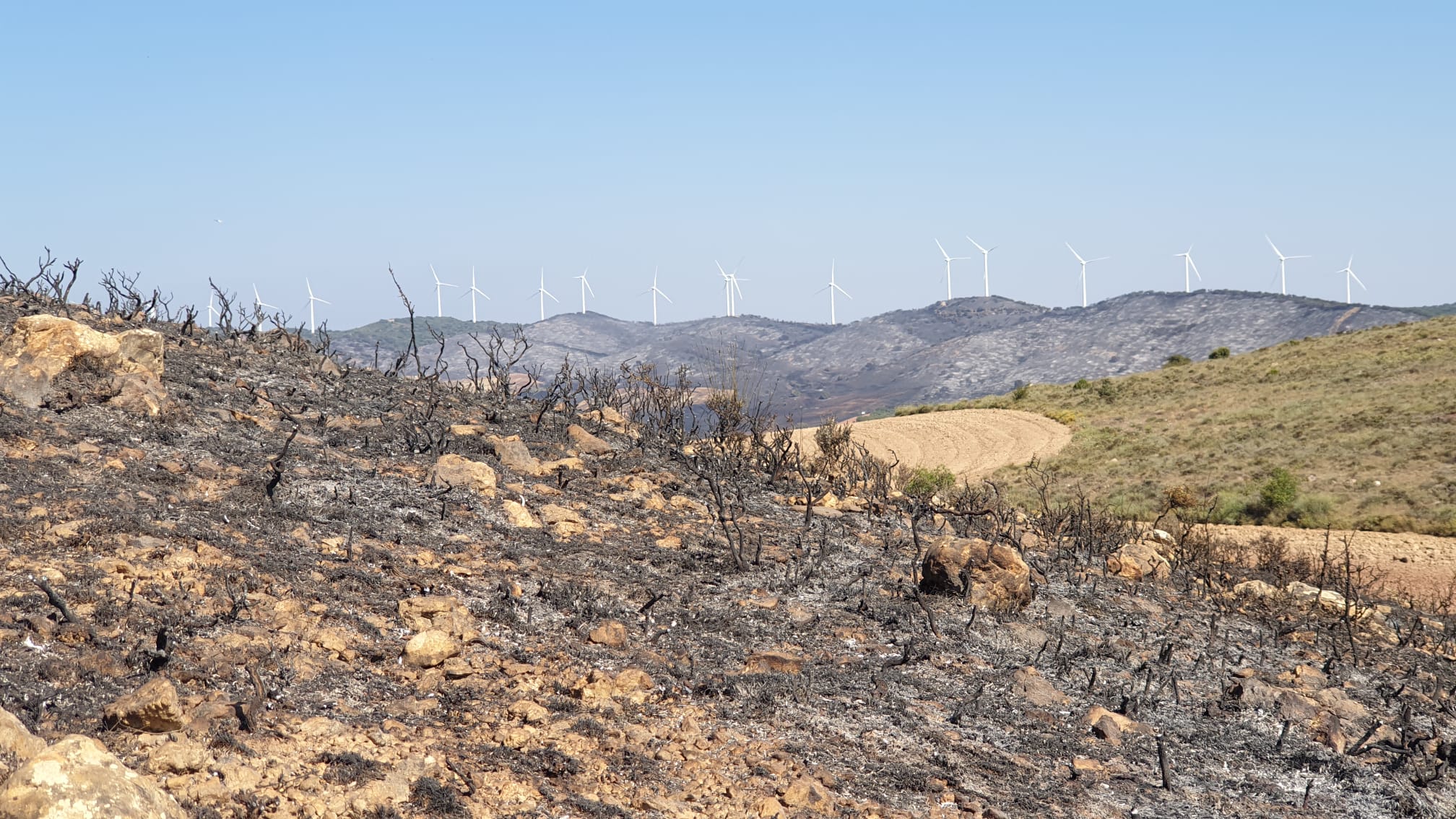 La situación mejora en el incendio de Yerga: menos fuego y menos humo
