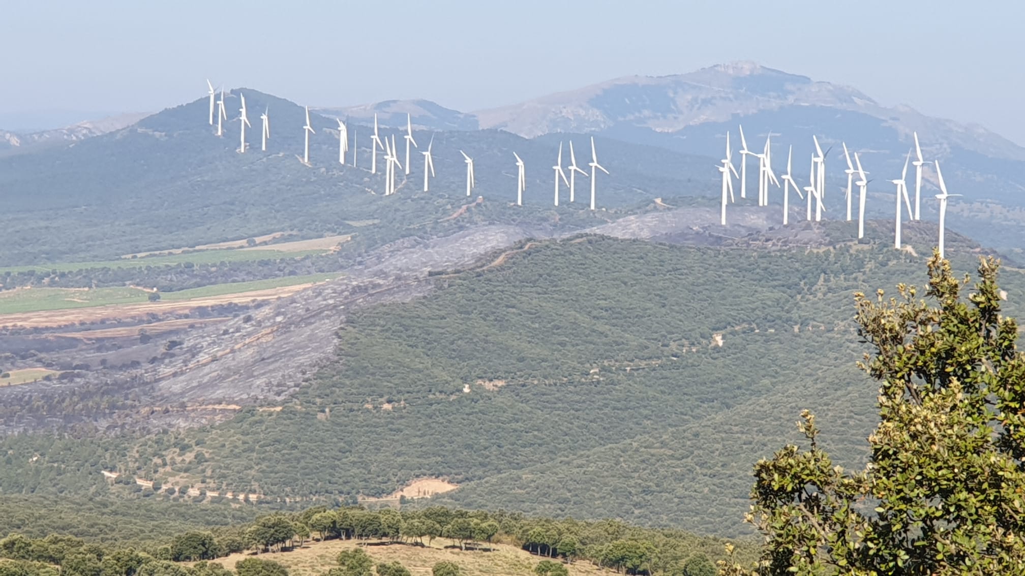 La situación mejora en el incendio de Yerga: menos fuego y menos humo