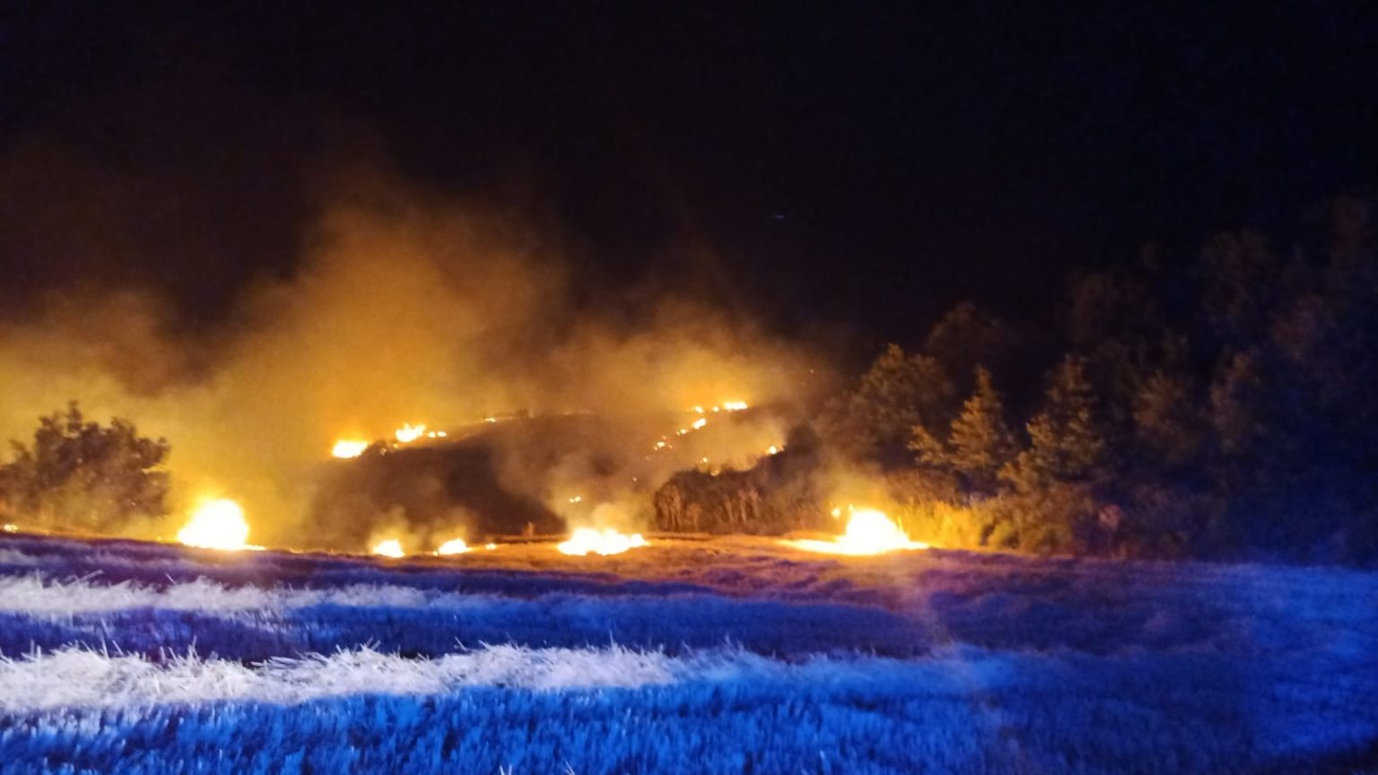 Incendio nocturno en Cañas: bomberos y 13 tractores movilizados