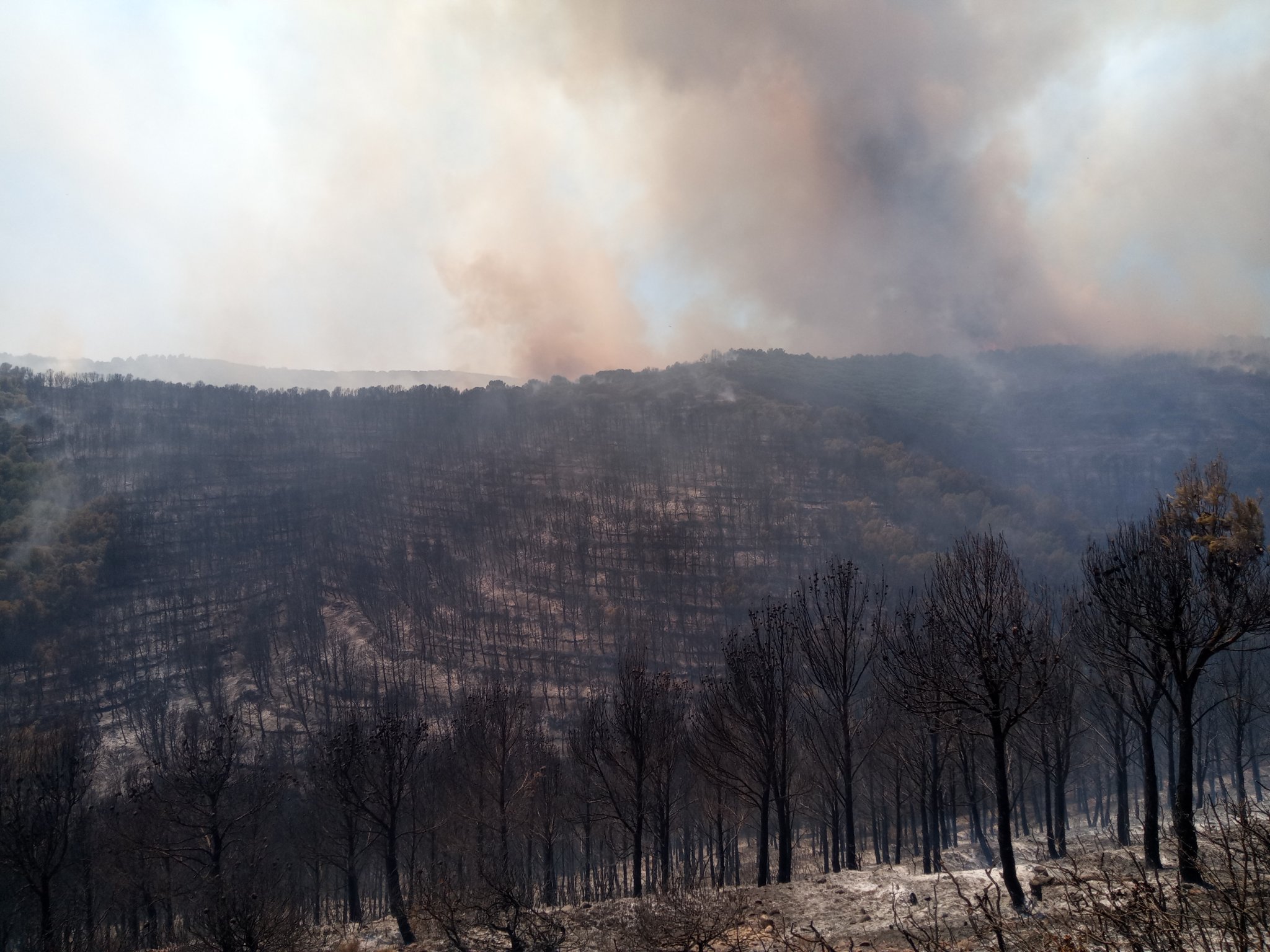 El fuego vuelve al monte Yerga en Alfaro: seis aeronaves, movilizadas