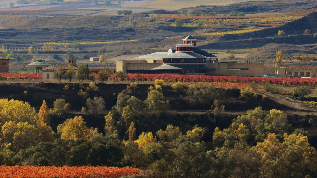 El Museo Vivanco, 'Mazacote de Oro' por su fusión de vino y arte
