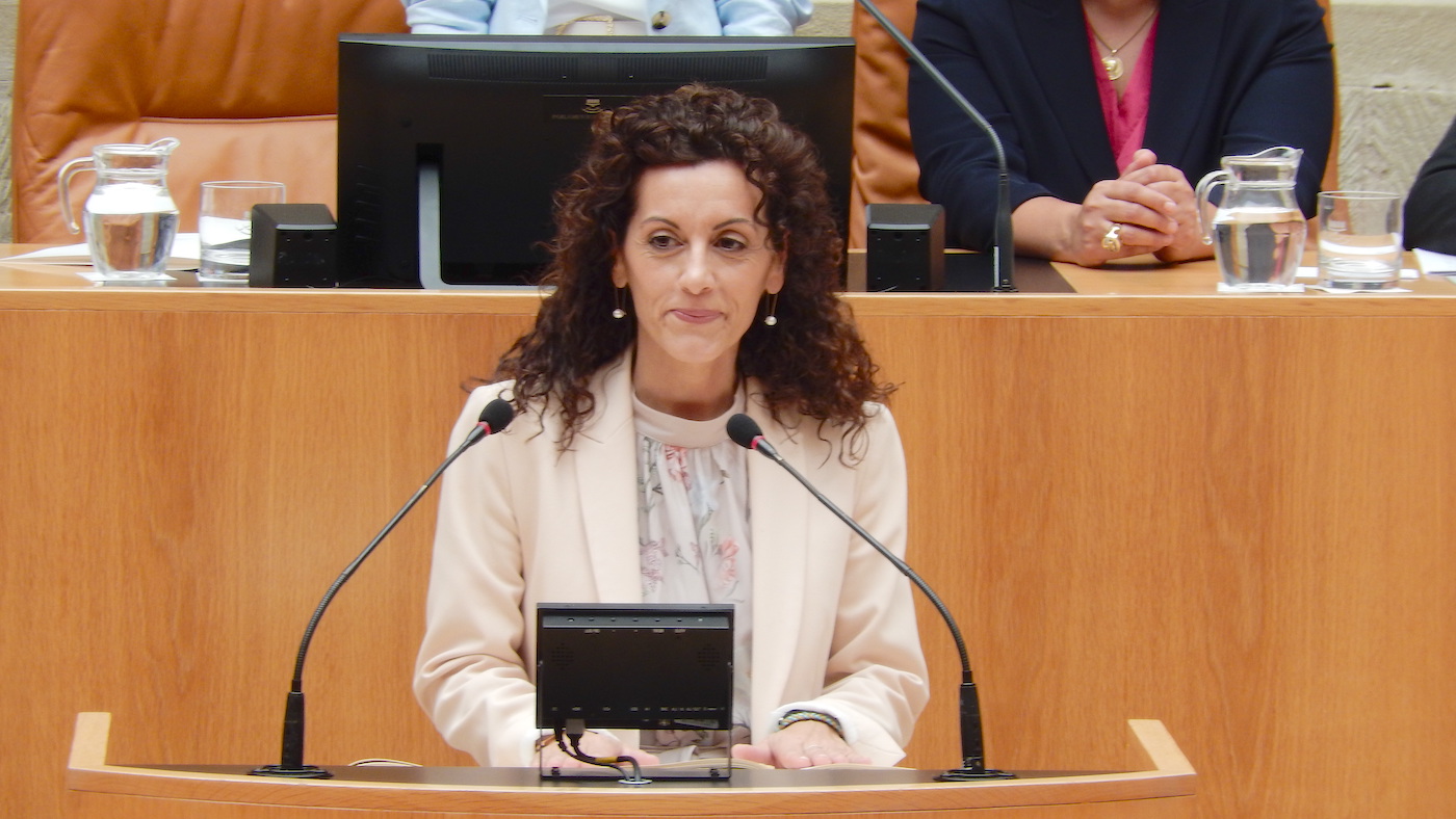 El Parlamento designa a Mar Cotelo como senadora autonómica
