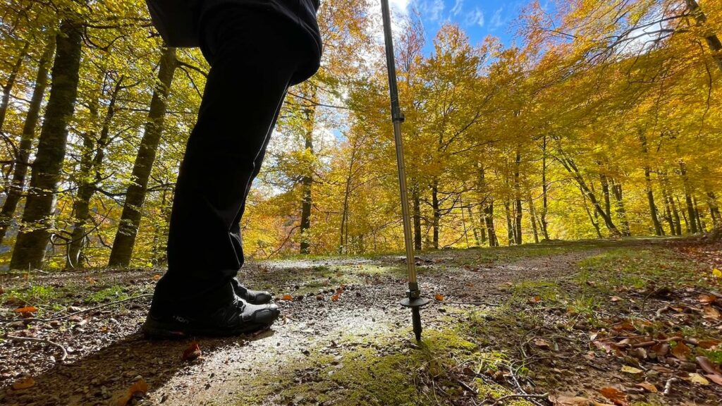 Tras el verano más caluroso, el otoño será cálido y poco lluvioso