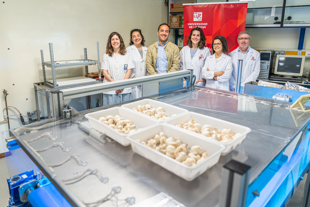 Investigadores de la UR frenan la propagación de la “telaraña” del ...