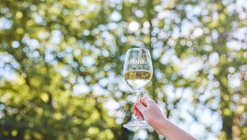 Rioja triunfa en los premios Decanter World Wine Awards 2024