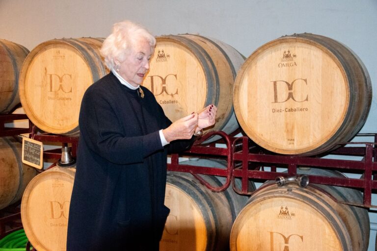 La dama del vino de Elciego