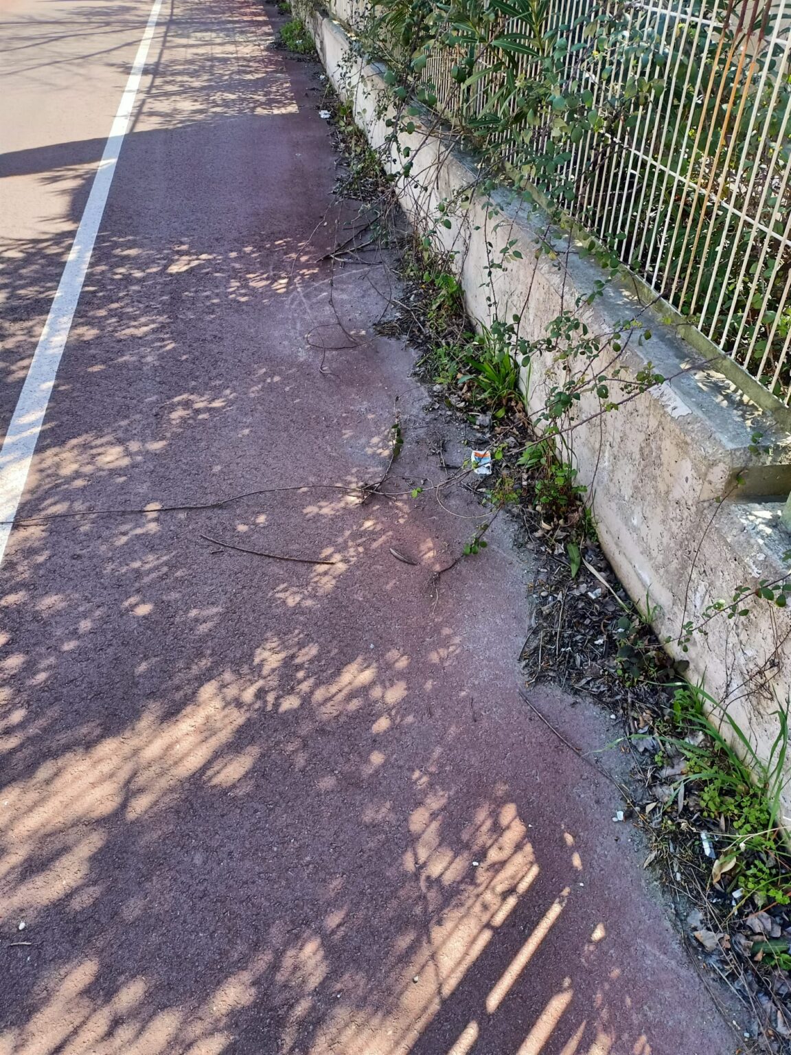El Sereno | Un paseo comido por las malas hierbas y la dejadez