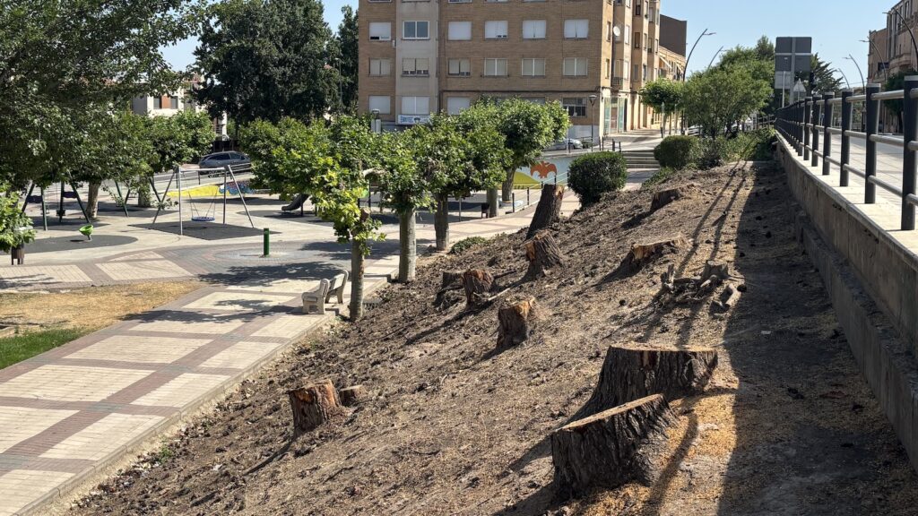 La tala de medio centenar de árboles en Alfaro llega al Parlamento